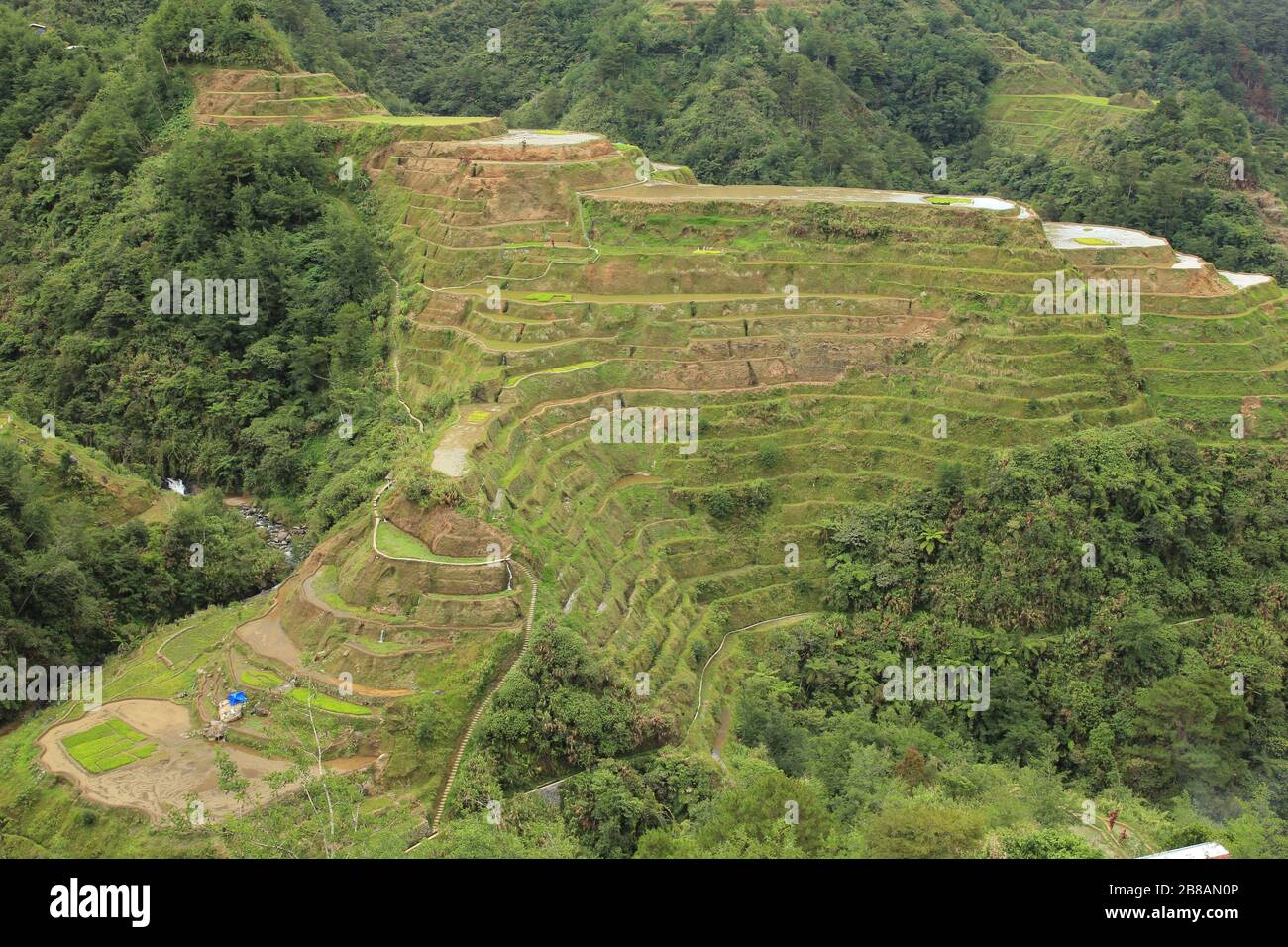 Banaue Rice Terraces In Philippines High Resolution Stock Photography ...