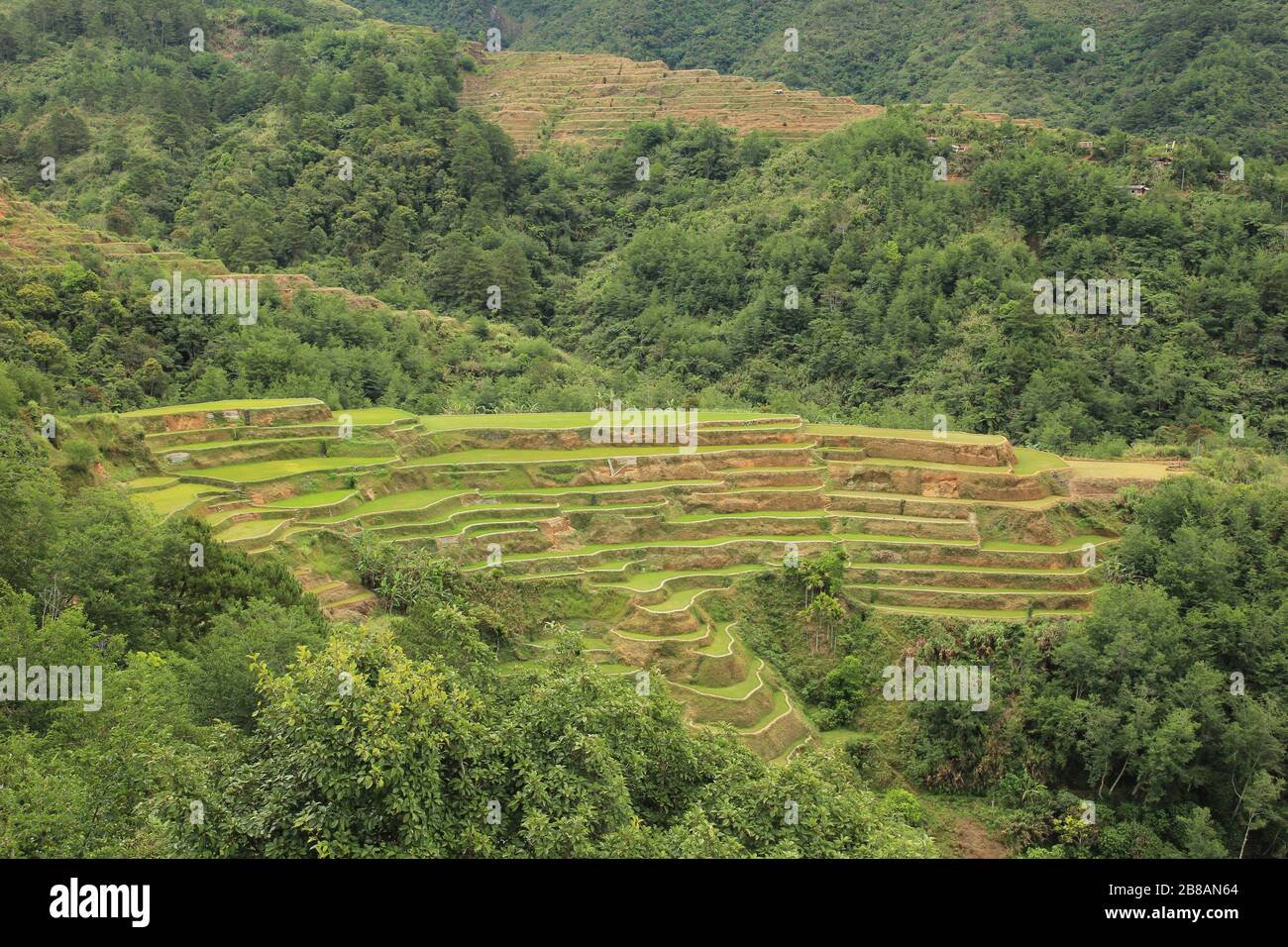 Igorot Culture High Resolution Stock Photography and Images - Alamy
