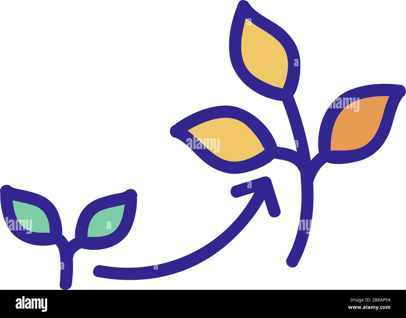 plant before and after icon vector outline illustration Stock Vector ...