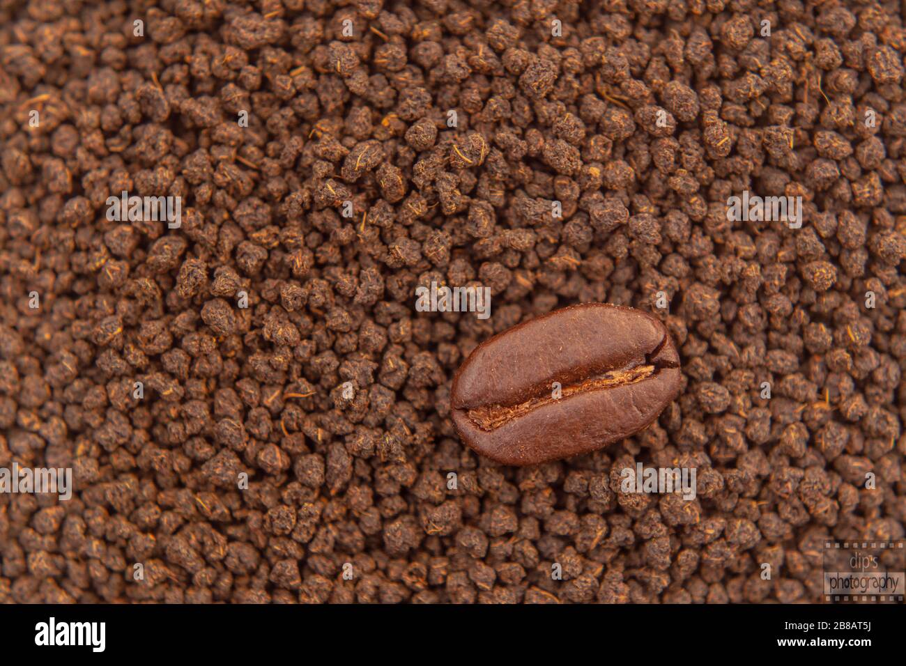 Coffee bean is the seed of the coffee plant hi-res stock photography ...