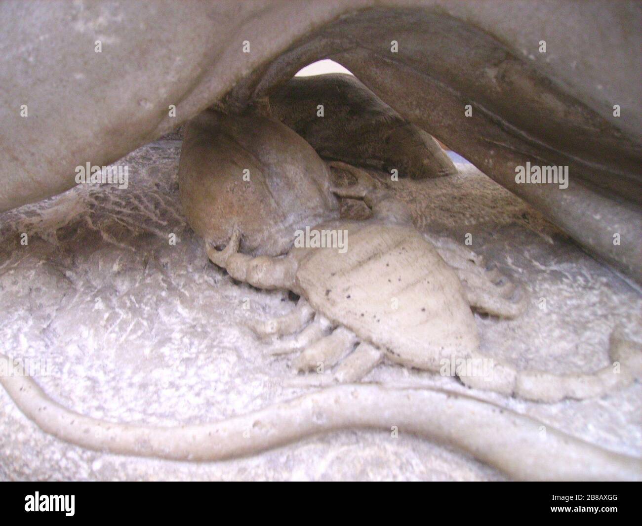 Scorpion statue hi-res stock photography and images - Alamy