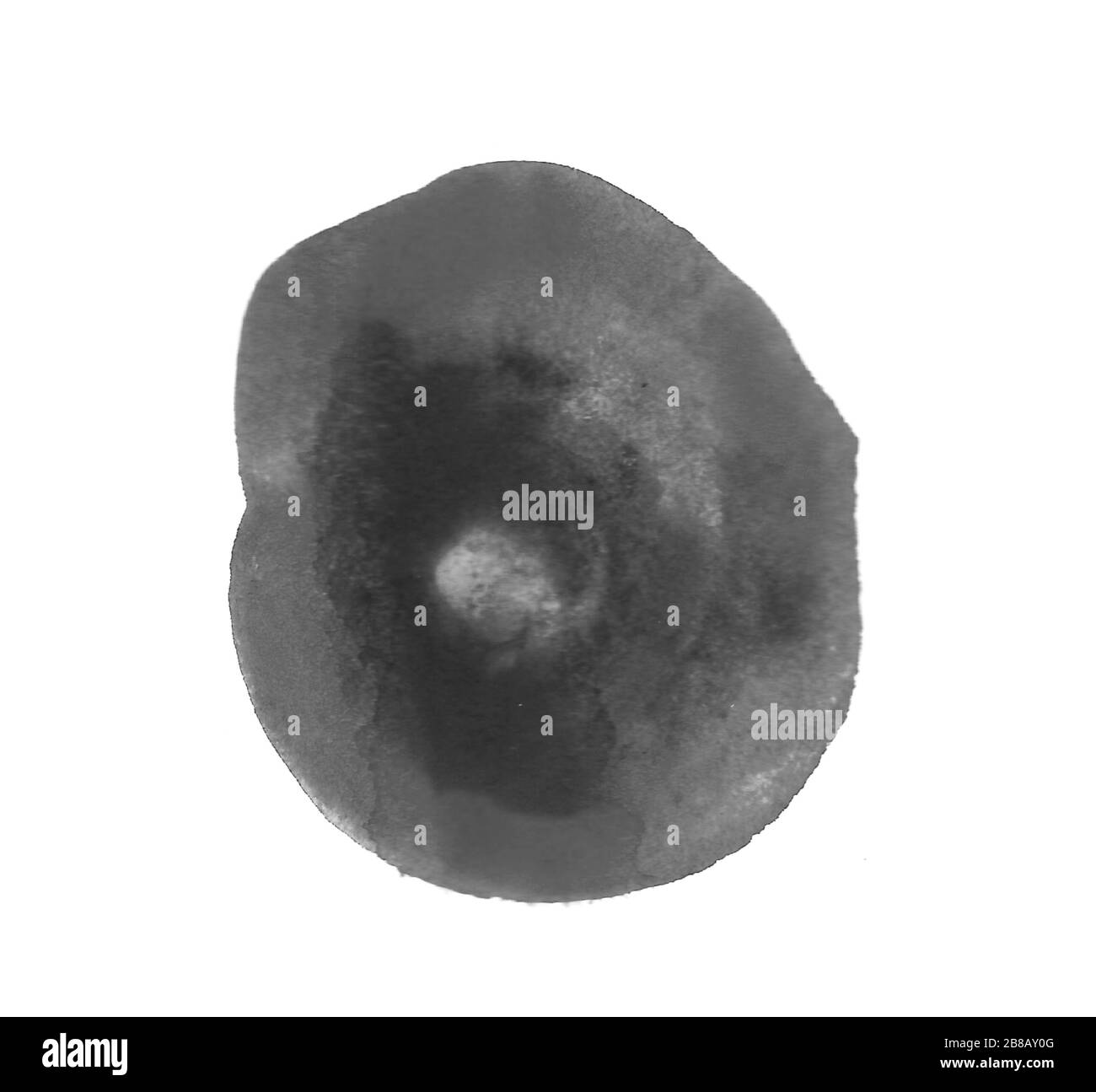 Abstract black ink circle isolated brush Stock Photo - Alamy