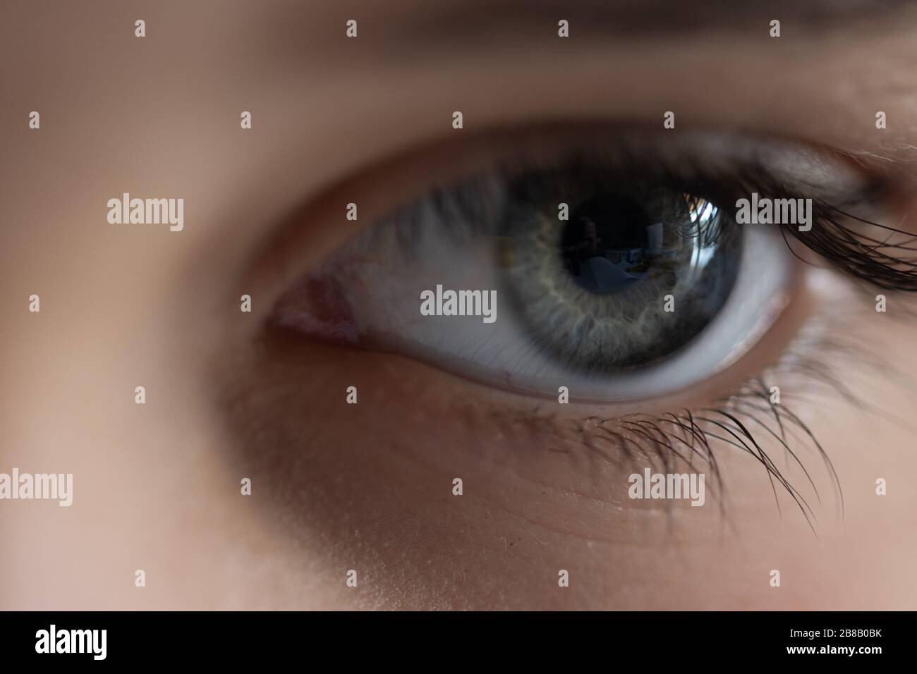 Macro picture of a grey human eye under the lights Stock Photo - Alamy