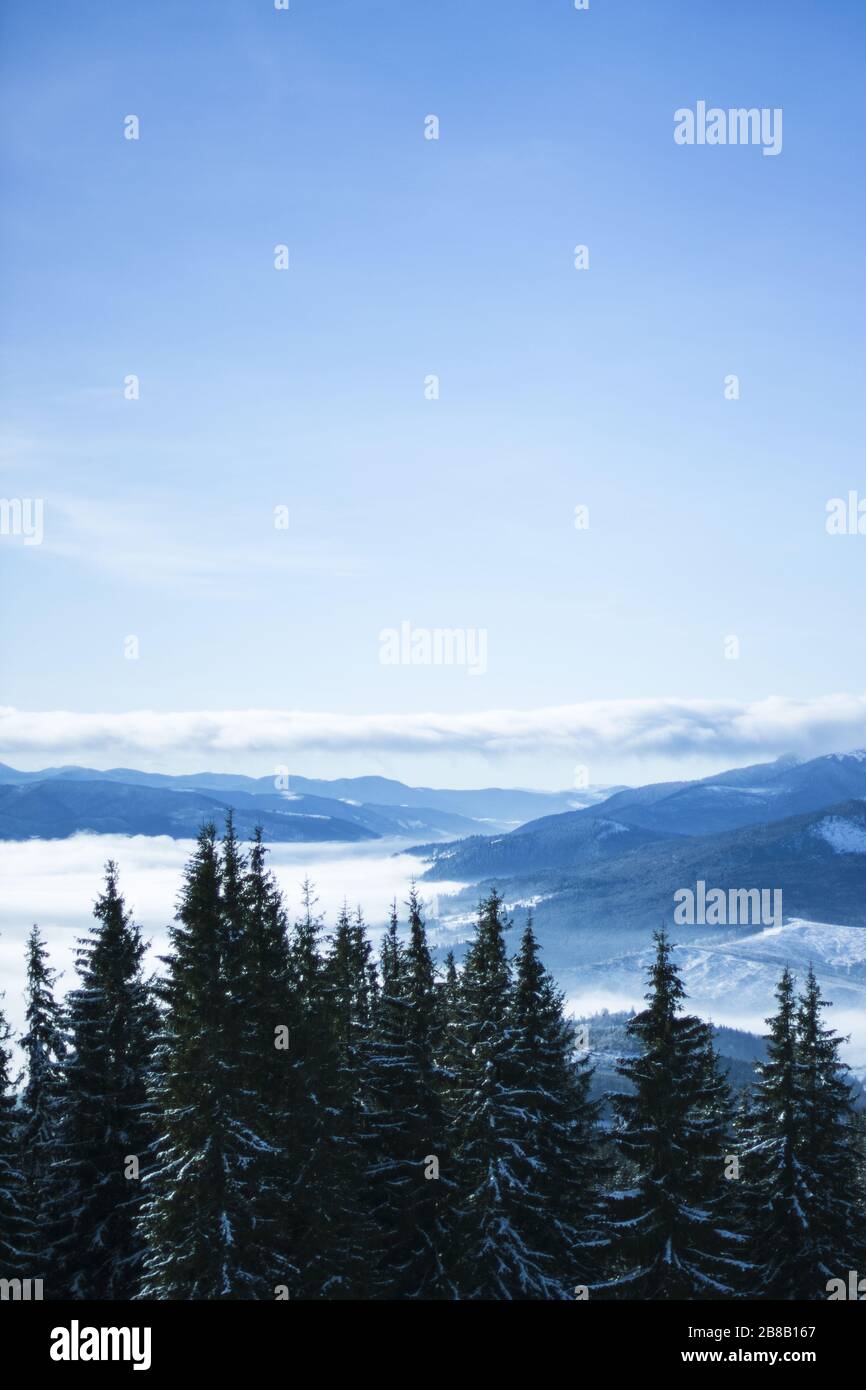 Vertical picture of hills covered in the snow and greenery under the ...