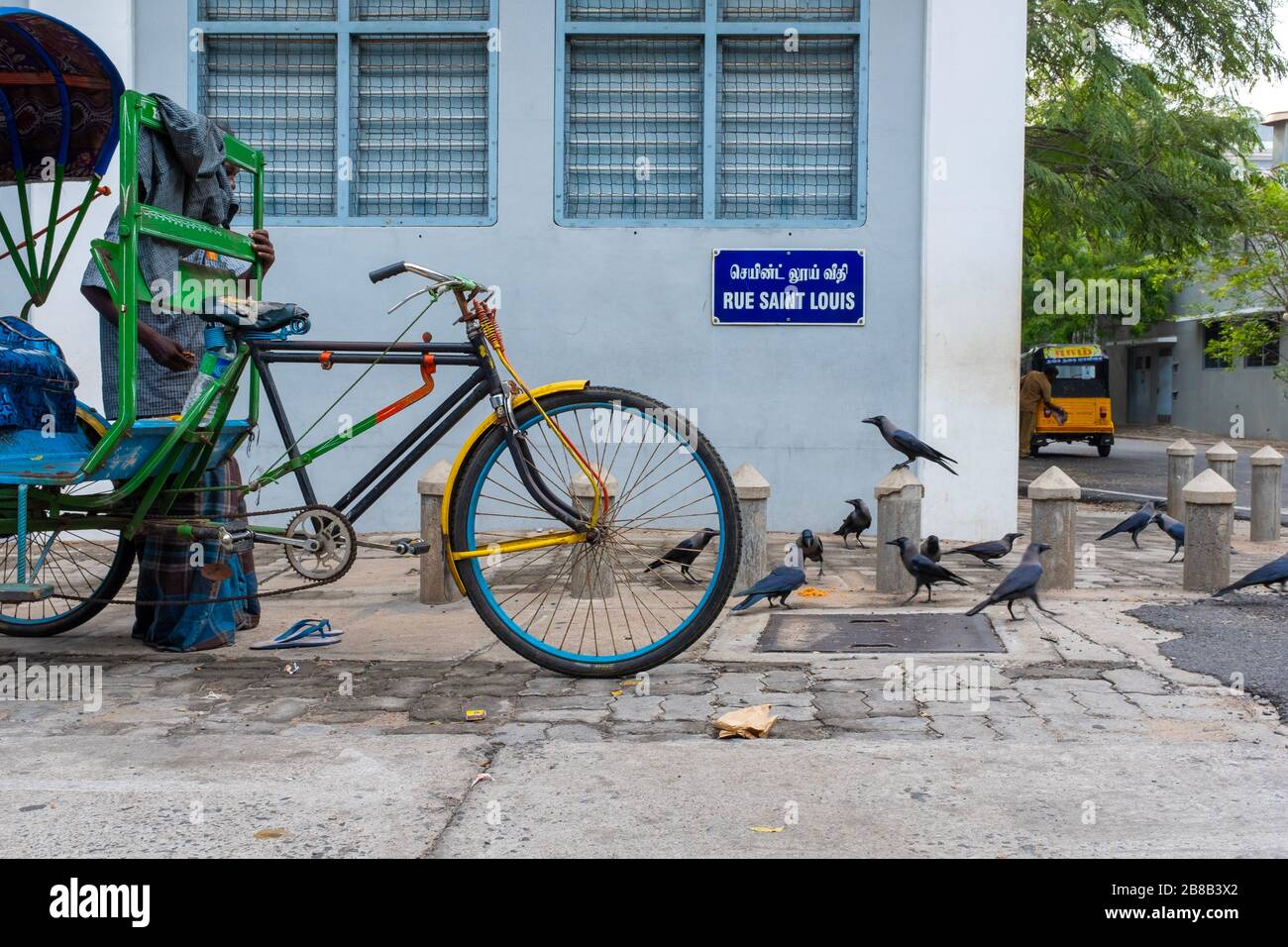 Crow eating grain hi-res stock photography and images - Alamy