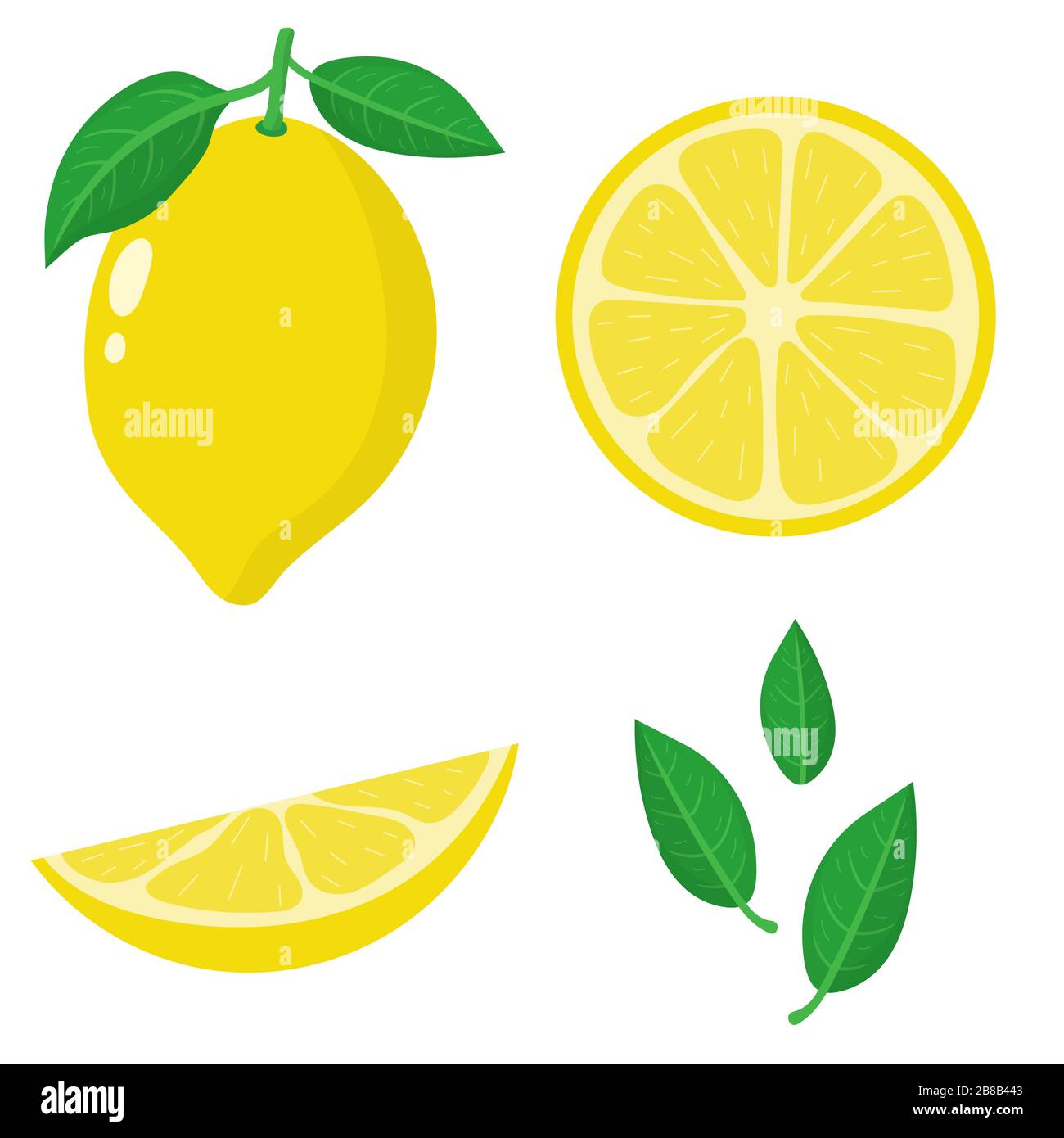 Set of fresh whole, half, cut slice and leaves lemon fruit isolated on white background. Summer ...