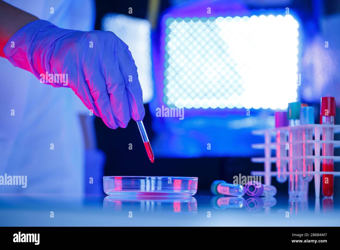 A medical professional, laboratory assistant, doctor performs an ...