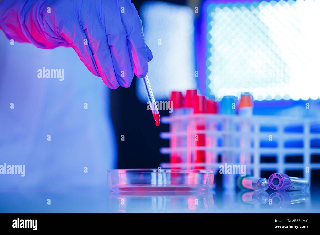Scientist working violet sample in hi-res stock photography and images ...
