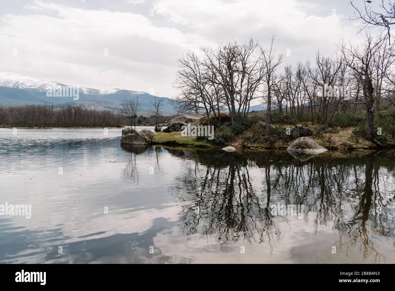 Lake surrounded by bushes and leafless trees Stock Photo - Alamy
