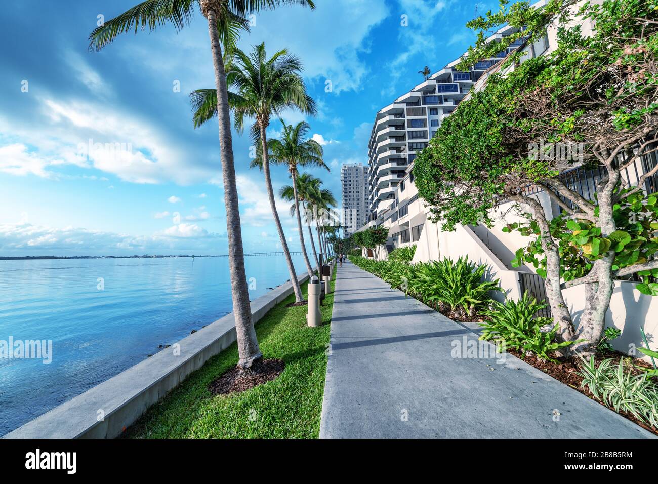 Brickell Key oceanfront at dawn, Miami Stock Photo - Alamy
