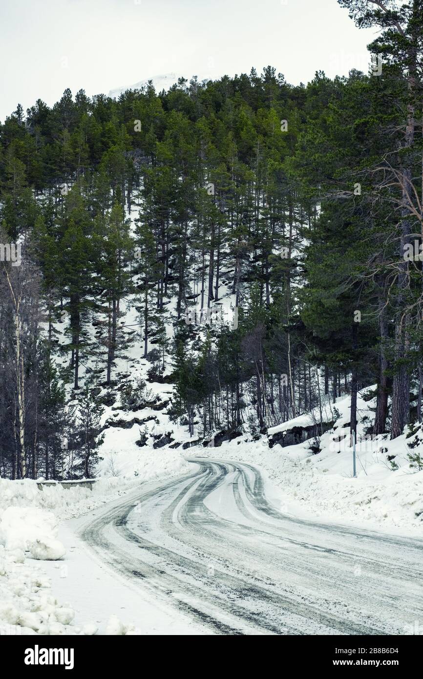 Snowy road and forest in Norway Stock Photo - Alamy