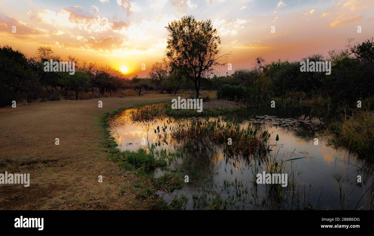 African Bushveld High Resolution Stock Photography and Images - Alamy