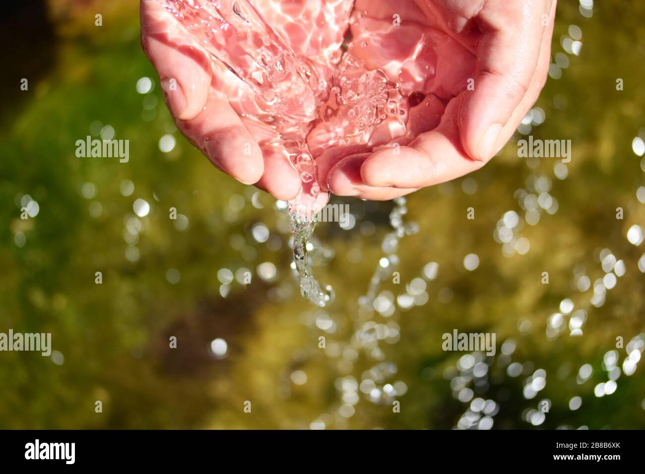 natural spring water in the hands Stock Photo - Alamy