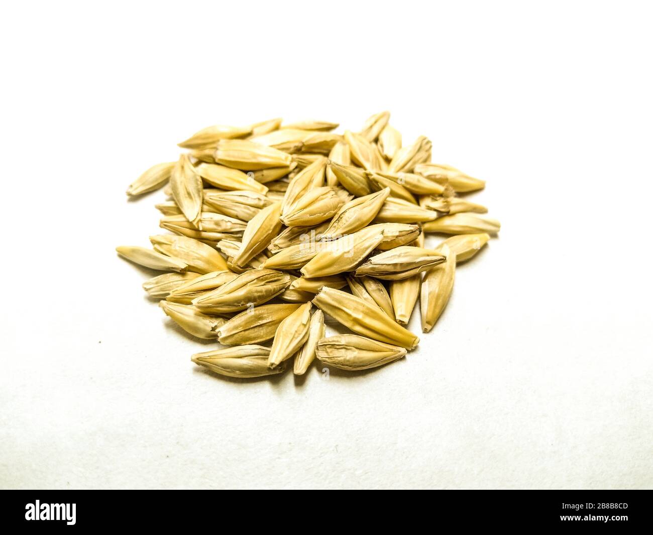A picture of Barley Stock Photo - Alamy