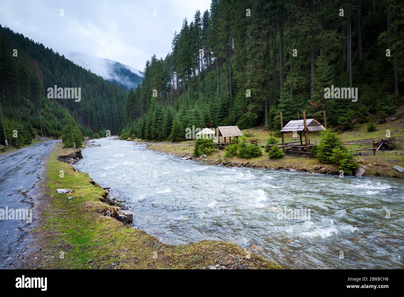 Forest narrow river, with an active stream. With trees on each side ...