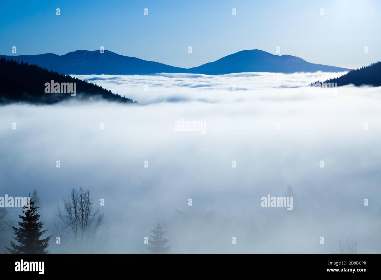 Beautiful landscape, thick white fog among mountain peaks covered with ...