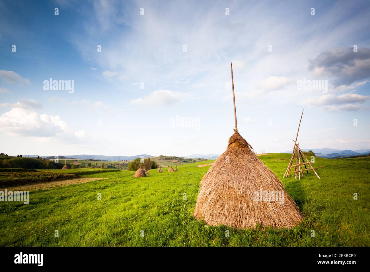 Beautiful landscape, green field with heaps of hay in village. Blue sky ...