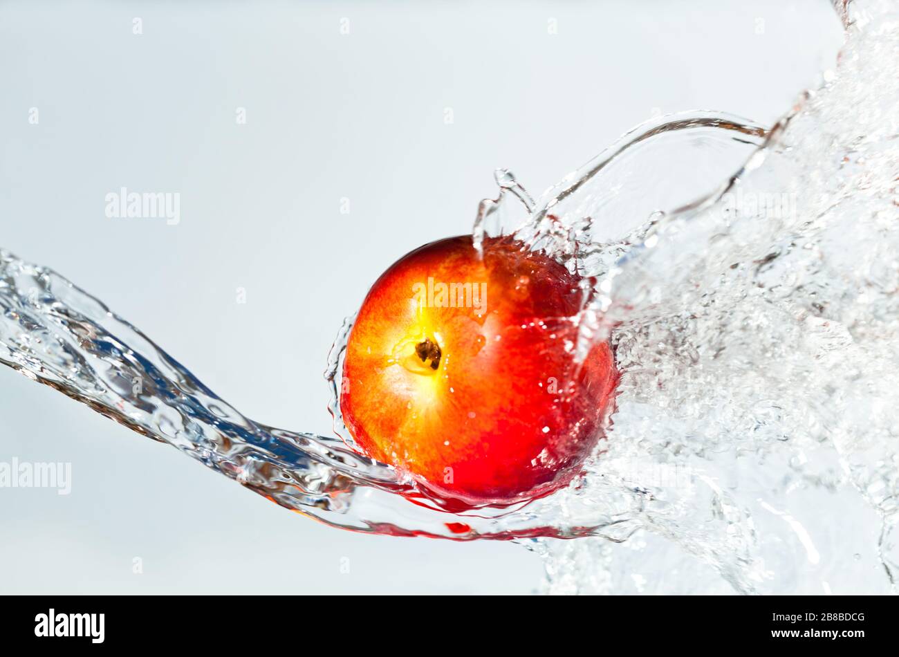 Closeup photo of red apple in water on white background, waters ...