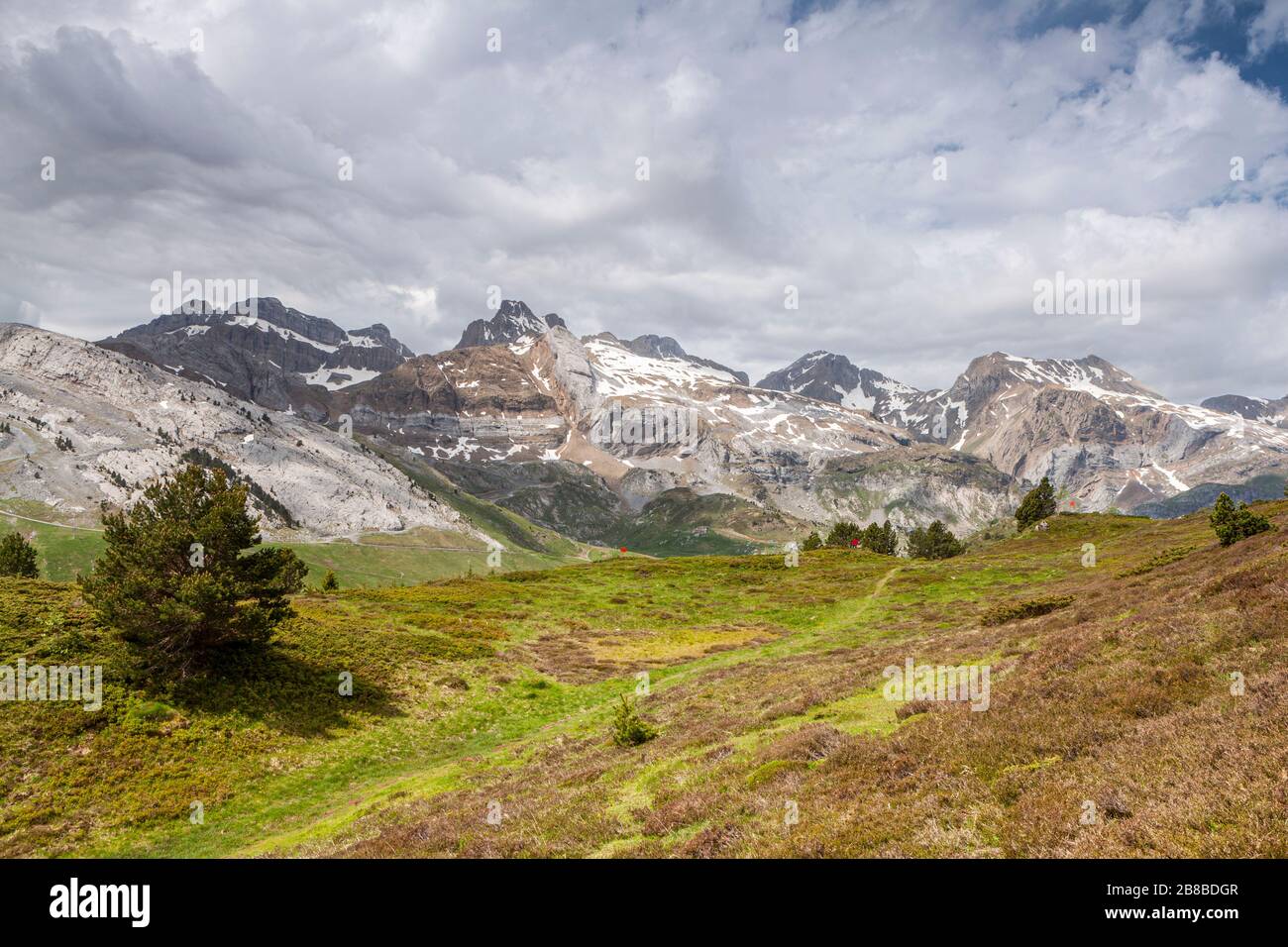 Candanchu tree hi-res stock photography and images - Alamy