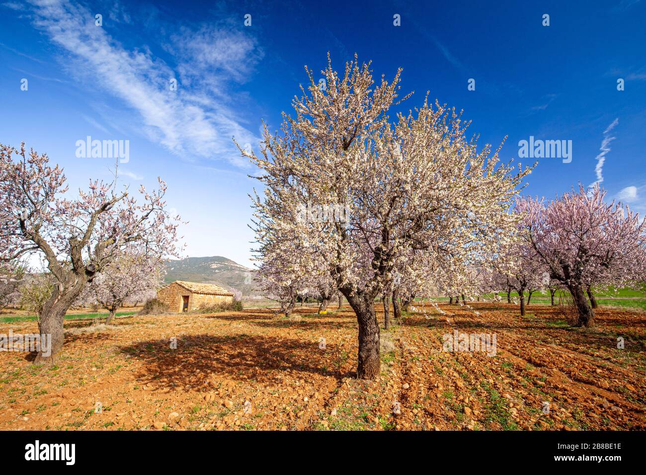 Ayerbe spain hi-res stock photography and images - Alamy