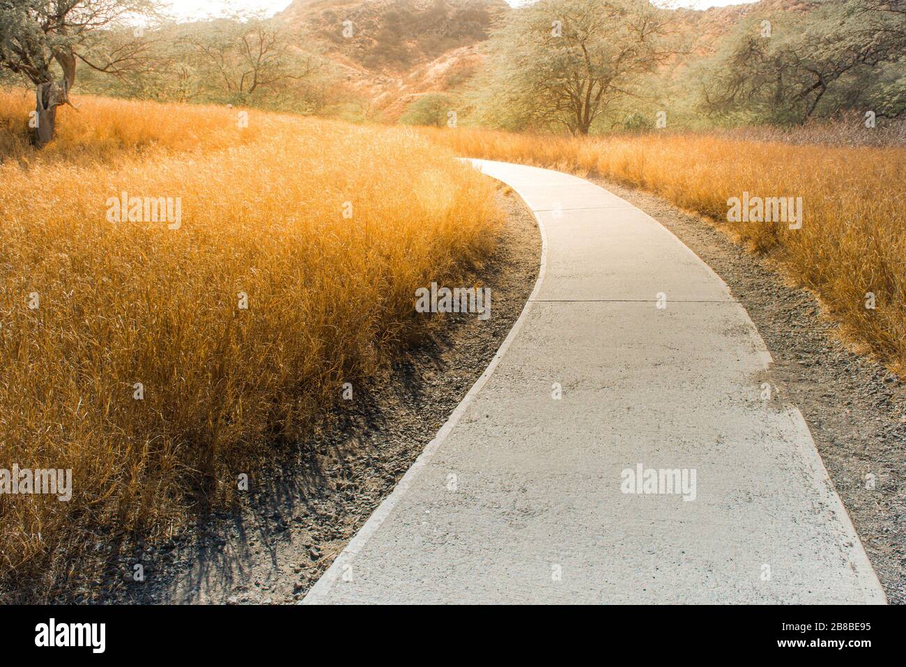 abstract summer pathway Stock Photo - Alamy