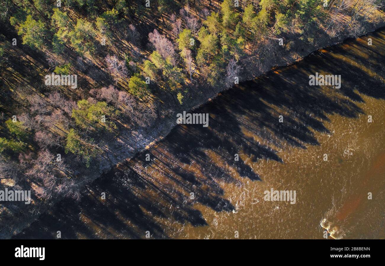 Into the shadow of the pines hi-res stock photography and images - Alamy