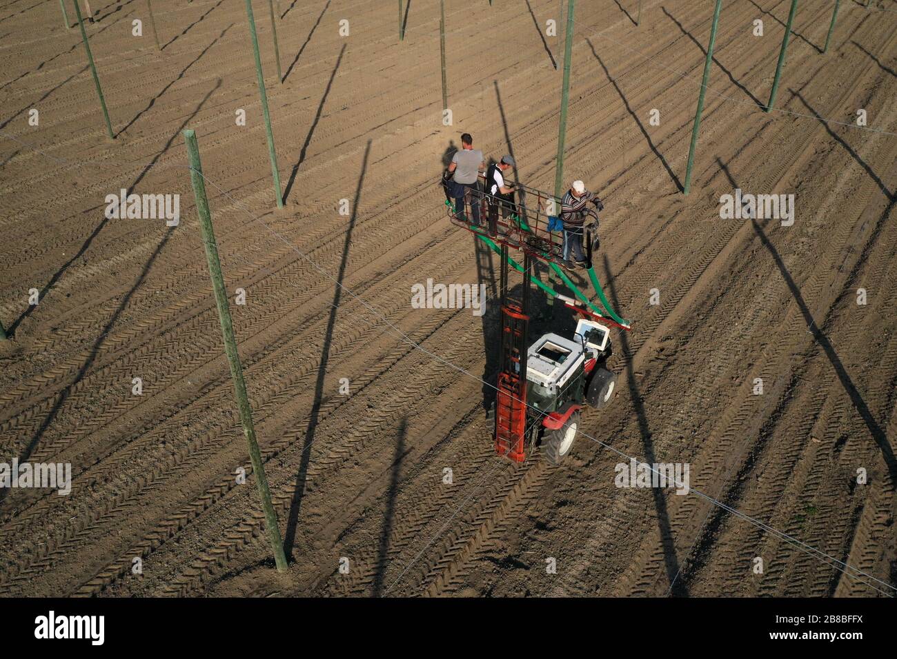 Hop poles hi-res stock photography and images - Alamy