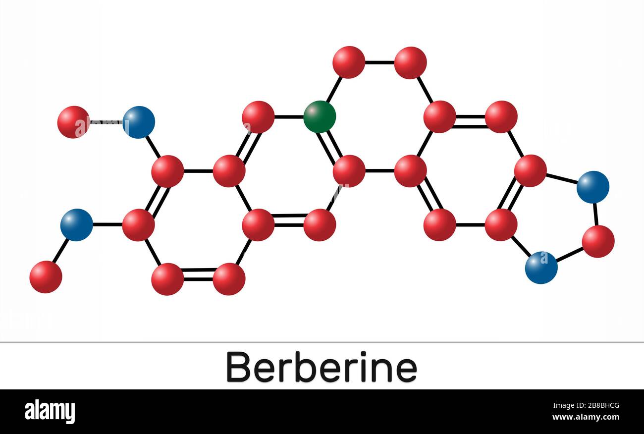 Berberine C20H18NO4, herbal alkaloid molecule. Molecule model ...