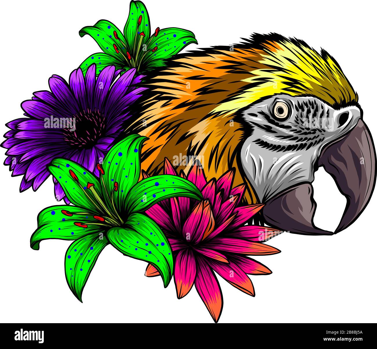 Parrot hibiscus flowers Cut Out Stock Images & Pictures - Alamy