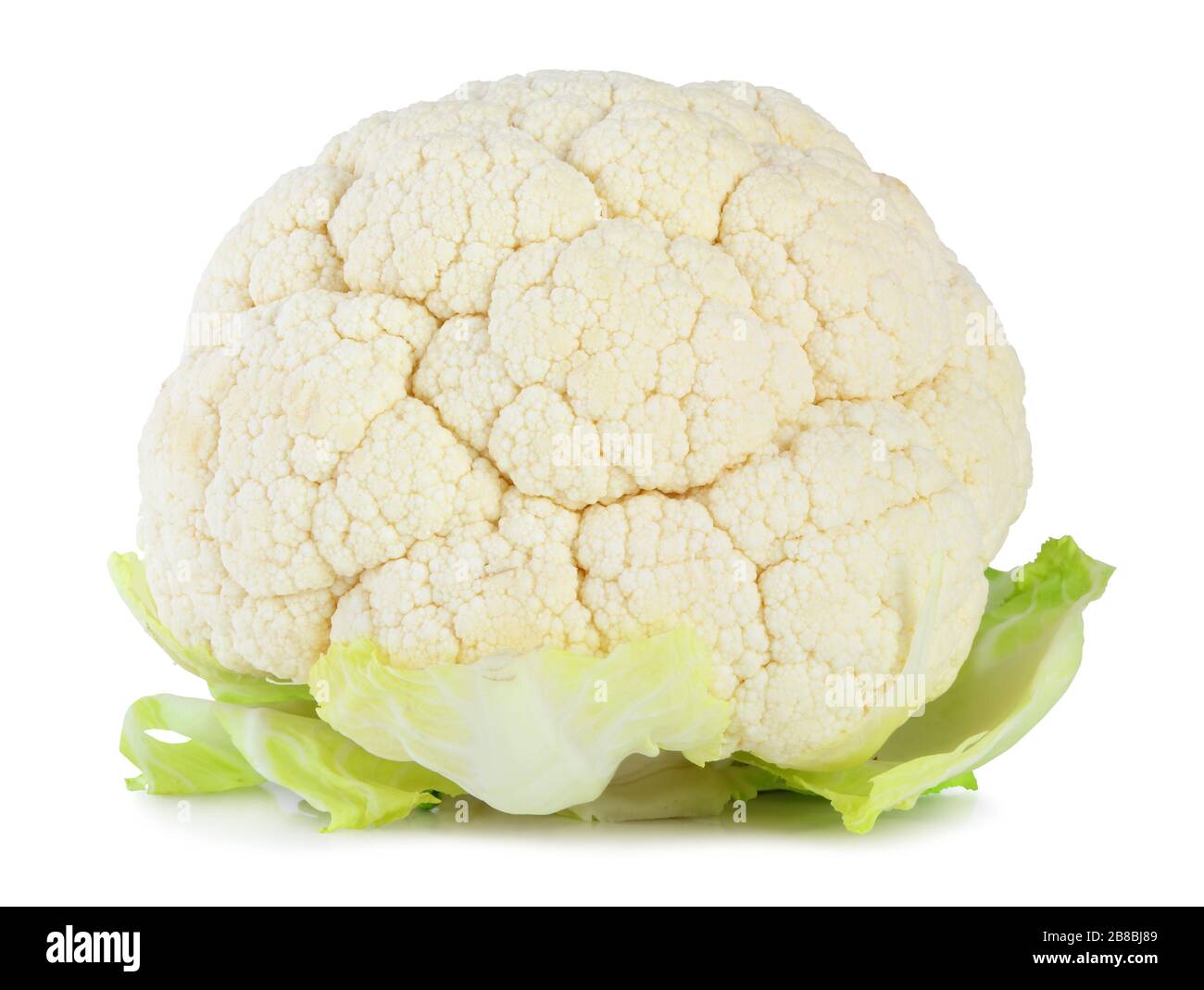 Fresh Cauliflower isolated on white background, including clipping path ...