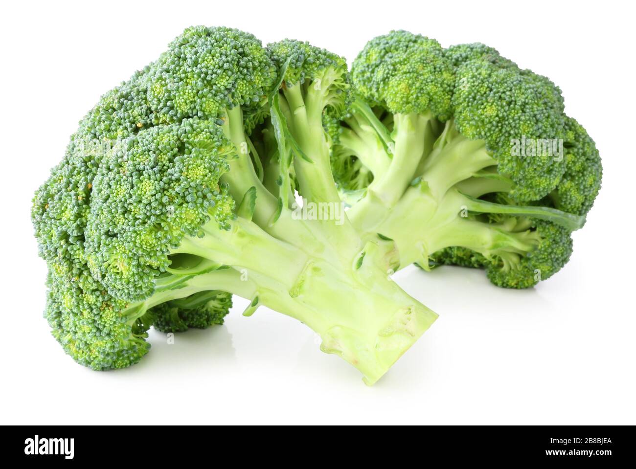 Fresh Broccoli isolated on white background, including clipping path ...