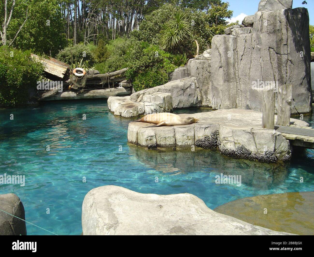 Bestiality Or Zoophilia High Resolution Stock Photography and Images ...