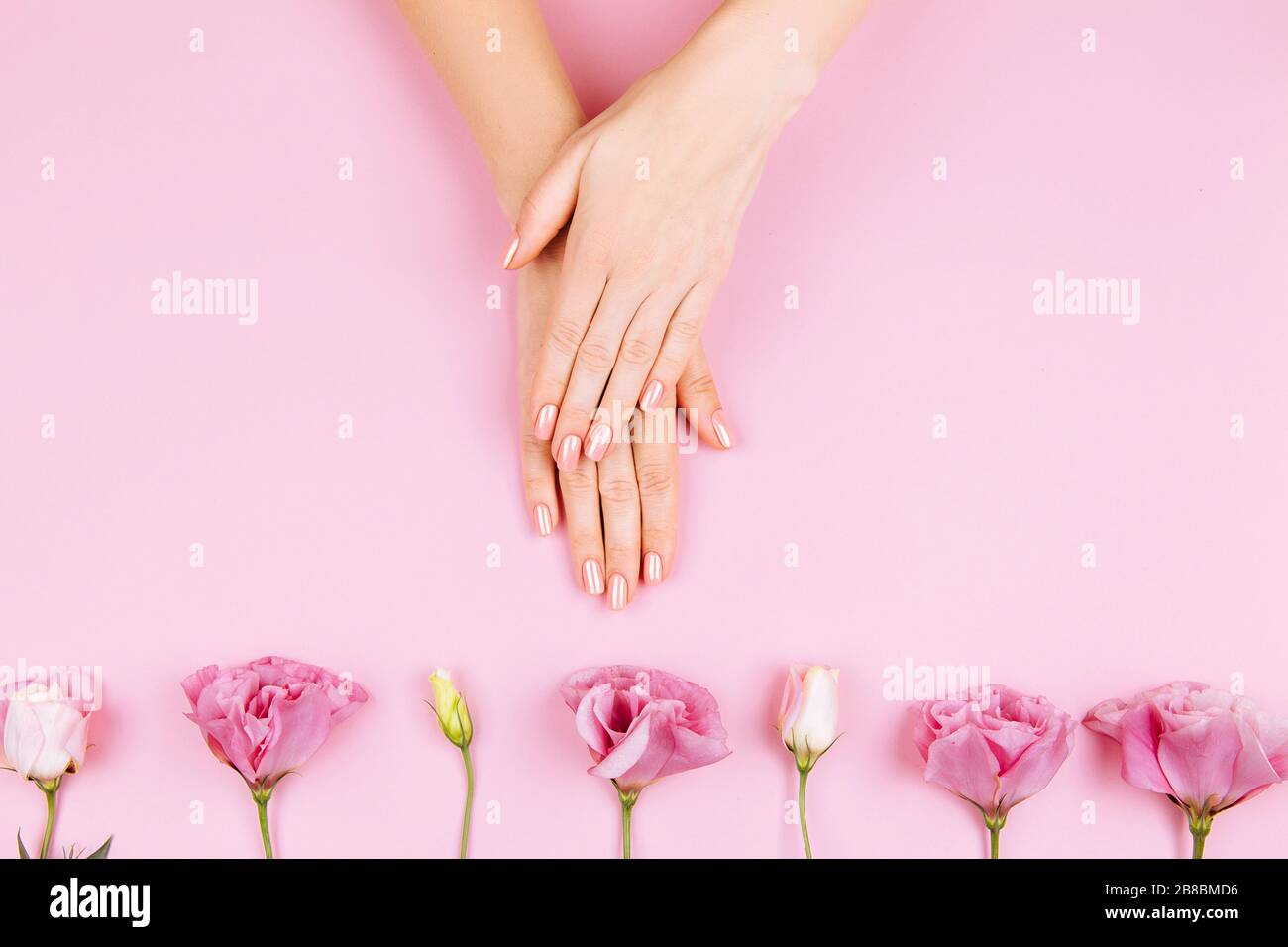 Beautiful Woman Hands with fresh eustoma. Spa and Manicure concept ...