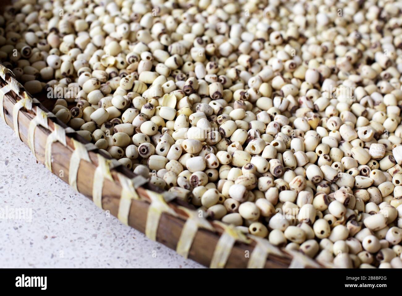 Dried White Lotus Seeds Closeup Stock Photo - Alamy