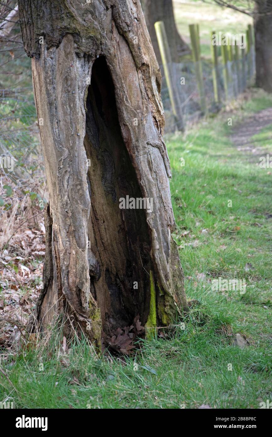 Large hollow hi-res stock photography and images - Alamy