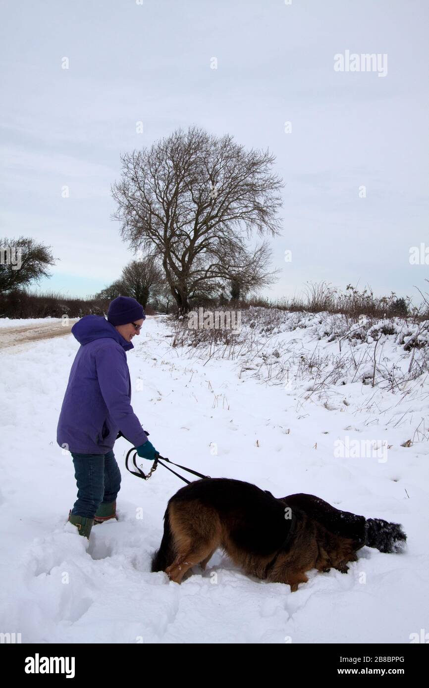 Working dog march uk hi-res stock photography and images - Alamy