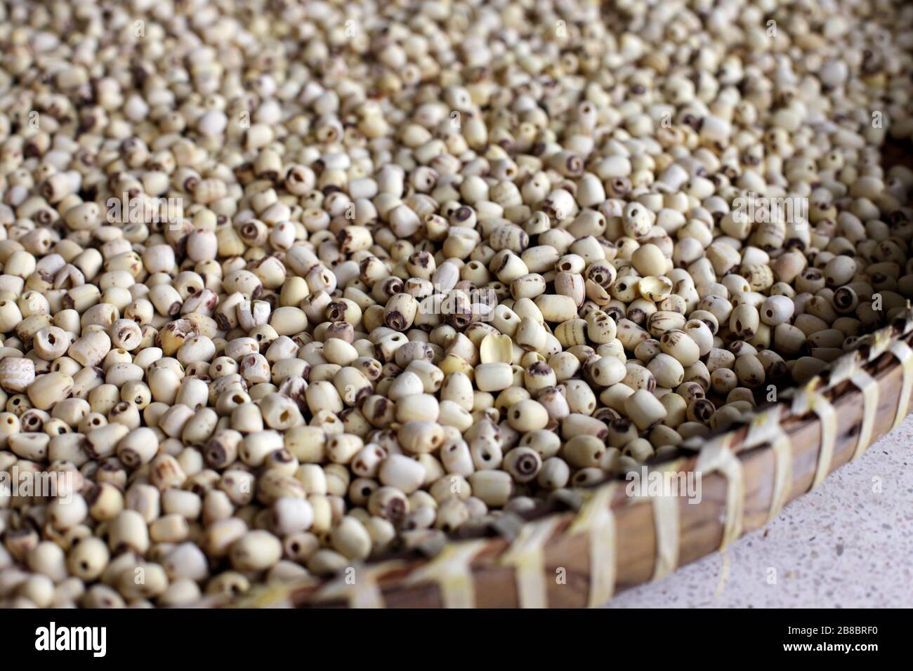 White lotus seeds hi-res stock photography and images - Alamy