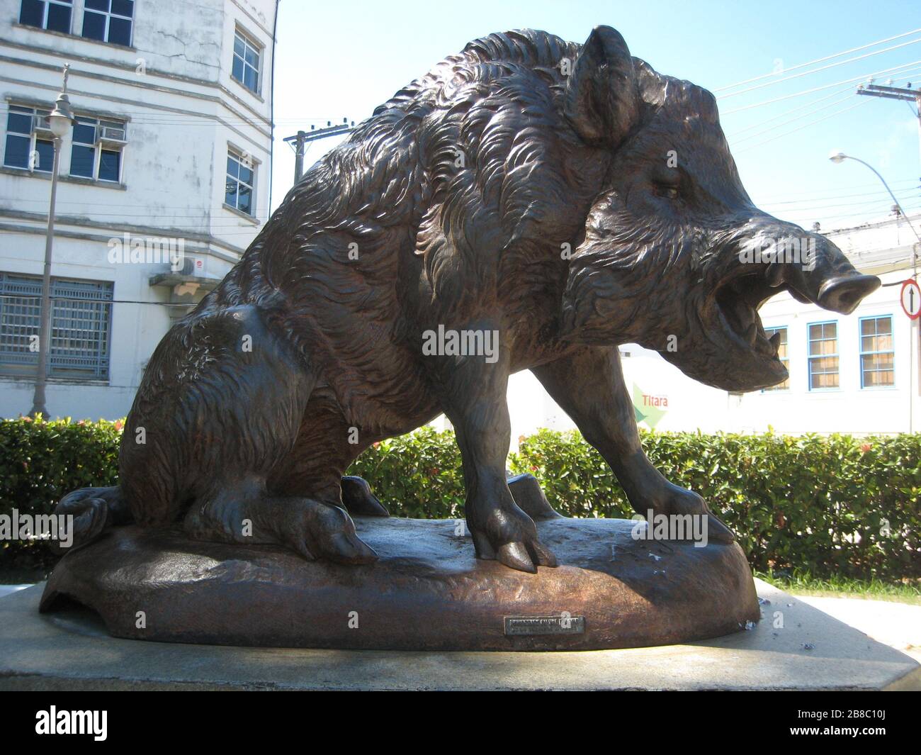 Original wild boar statue hi-res stock photography and images - Alamy