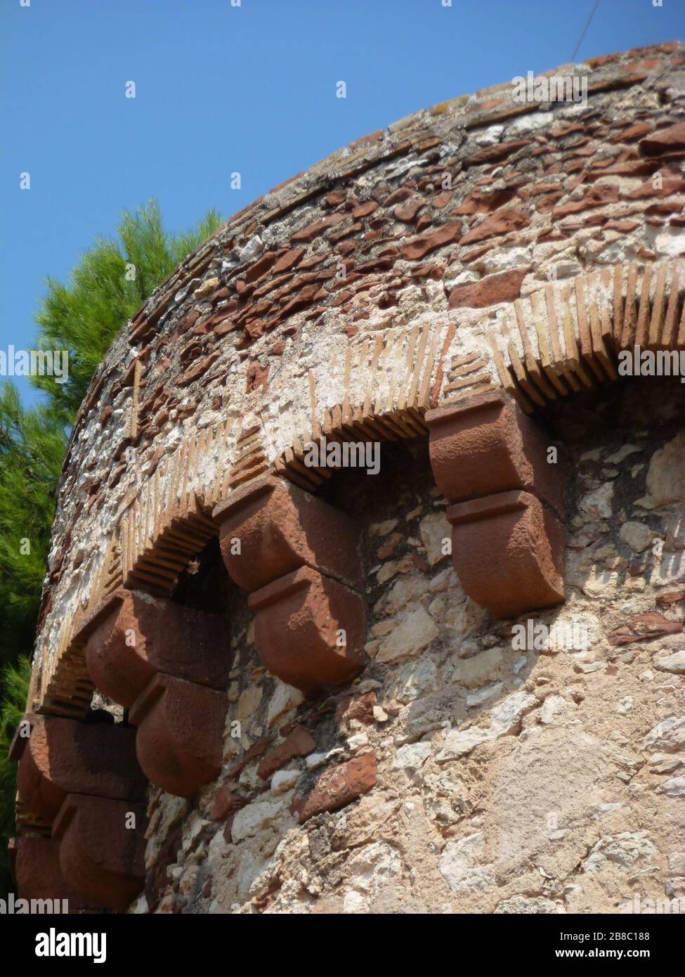 Gomar High Resolution Stock Photography and Images - Alamy