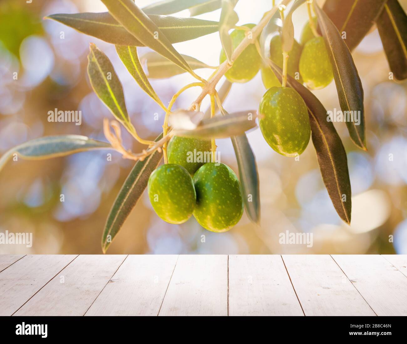 View from wooden terrace. Olives with leaves on olive tree. Season ...
