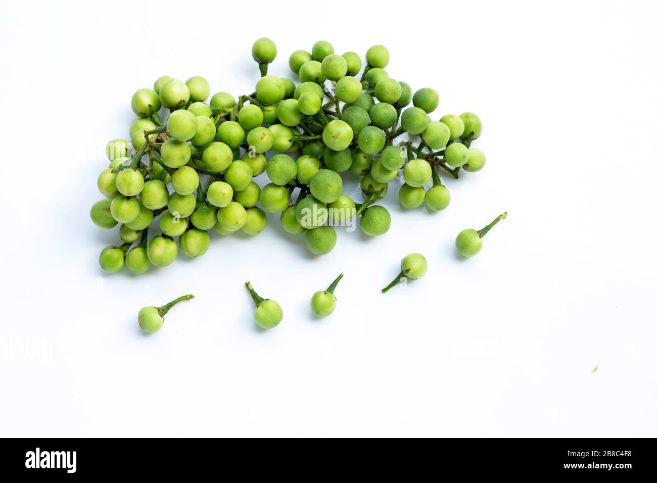 Turkey berry isolated on white background Stock Photo - Alamy