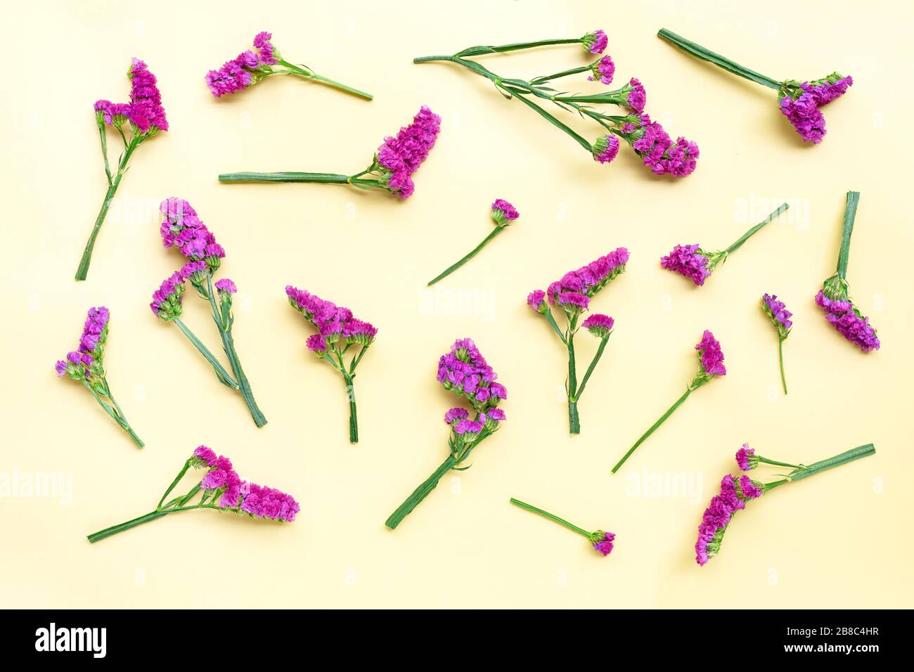 Static flowers hi-res stock photography and images - Alamy