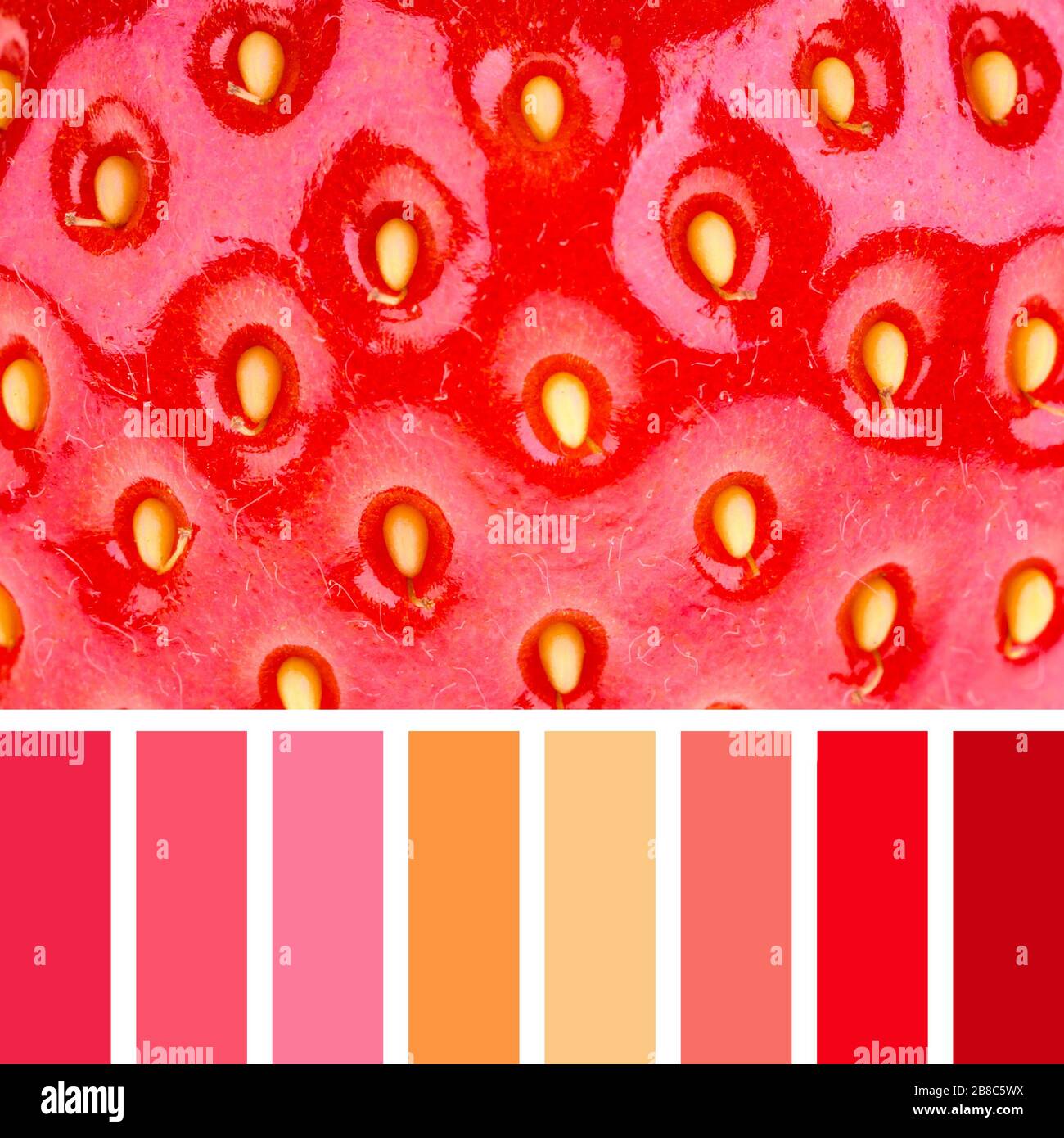 A macro shot of a fresh, juicy strawberry. Colour palette with ...