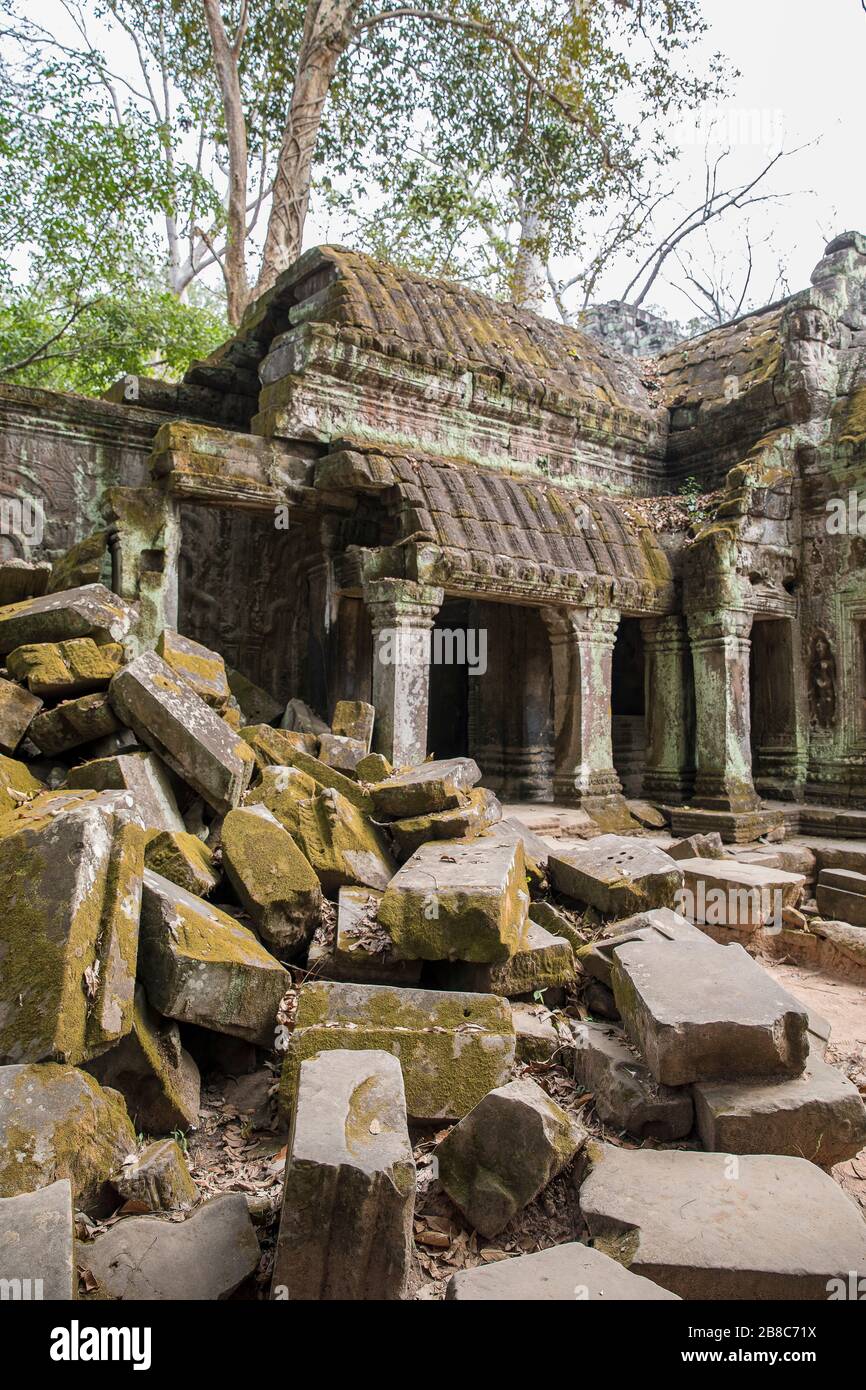 Ancient Khmer architecture ,Ta Prohm temple ruins hidden in jungle in ...
