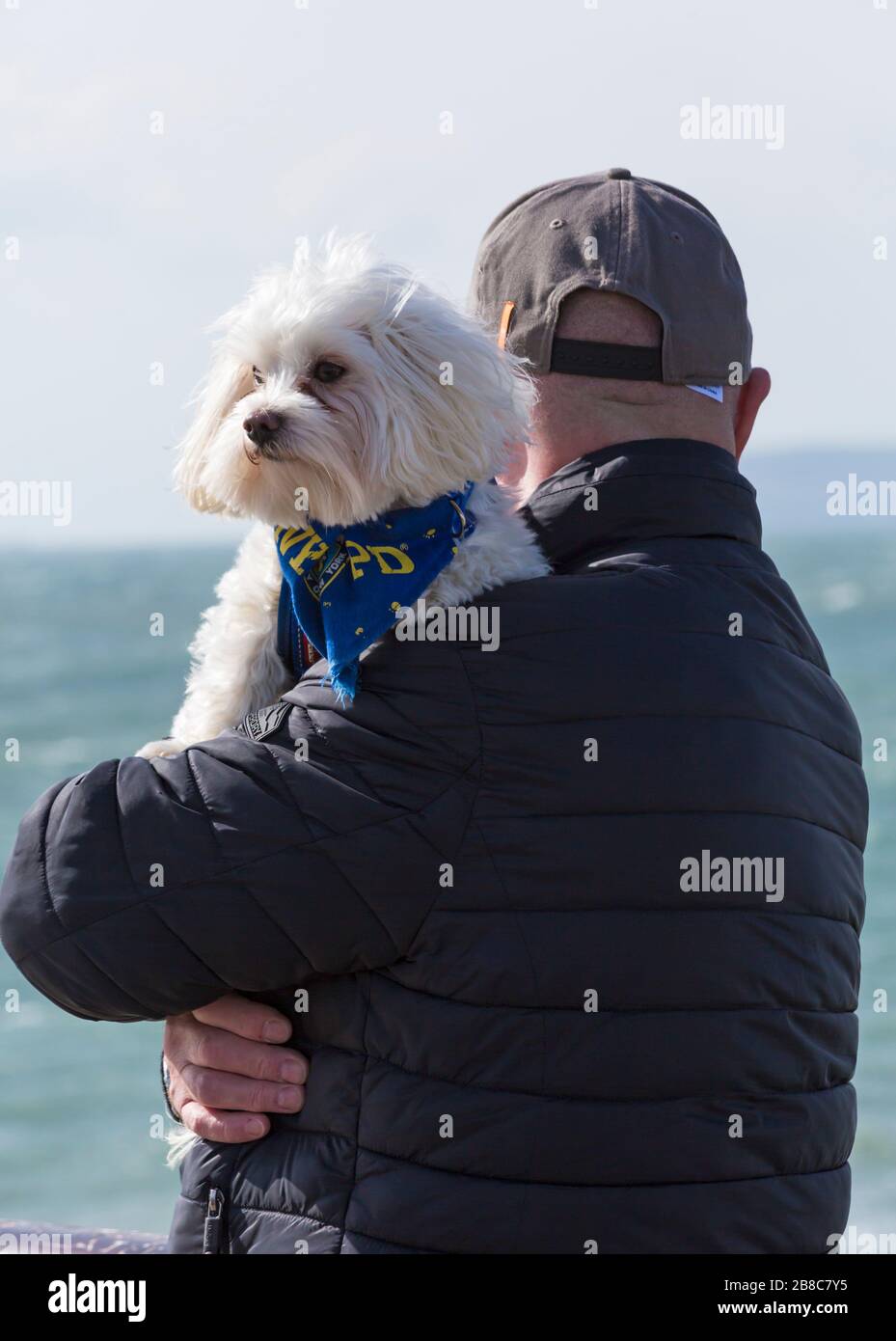 Maltese men hi-res stock photography and images - Alamy