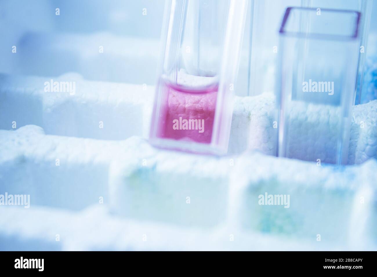 Reactive tests in the laboratory. Virus Stock Photo - Alamy
