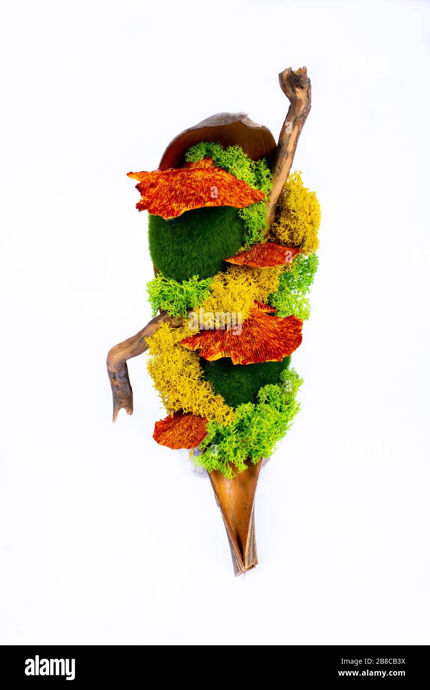 Moss design hi-res stock photography and images - Alamy