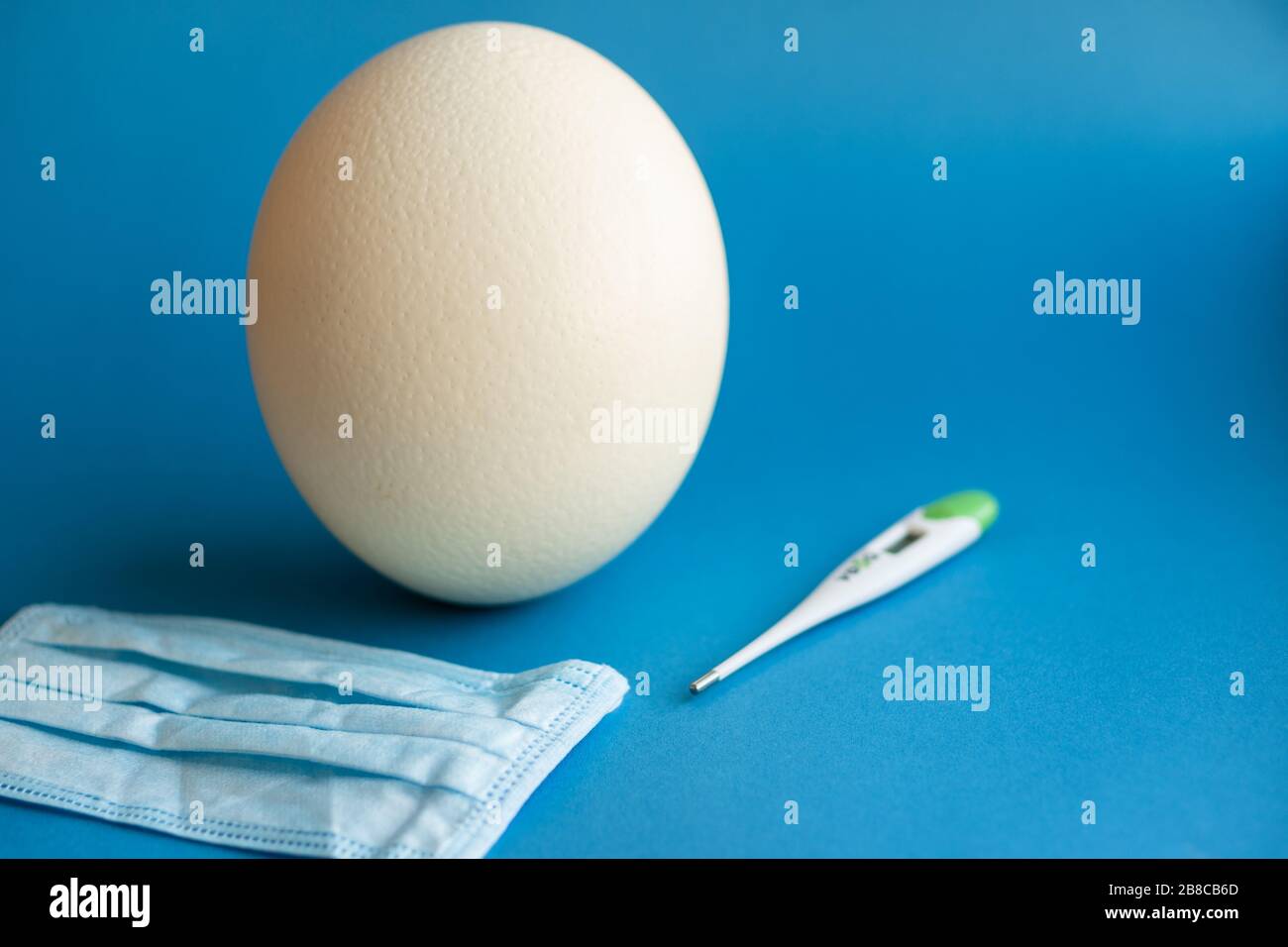 Large white easter ostrich egg in a respirator and a thermometer. Egg ...
