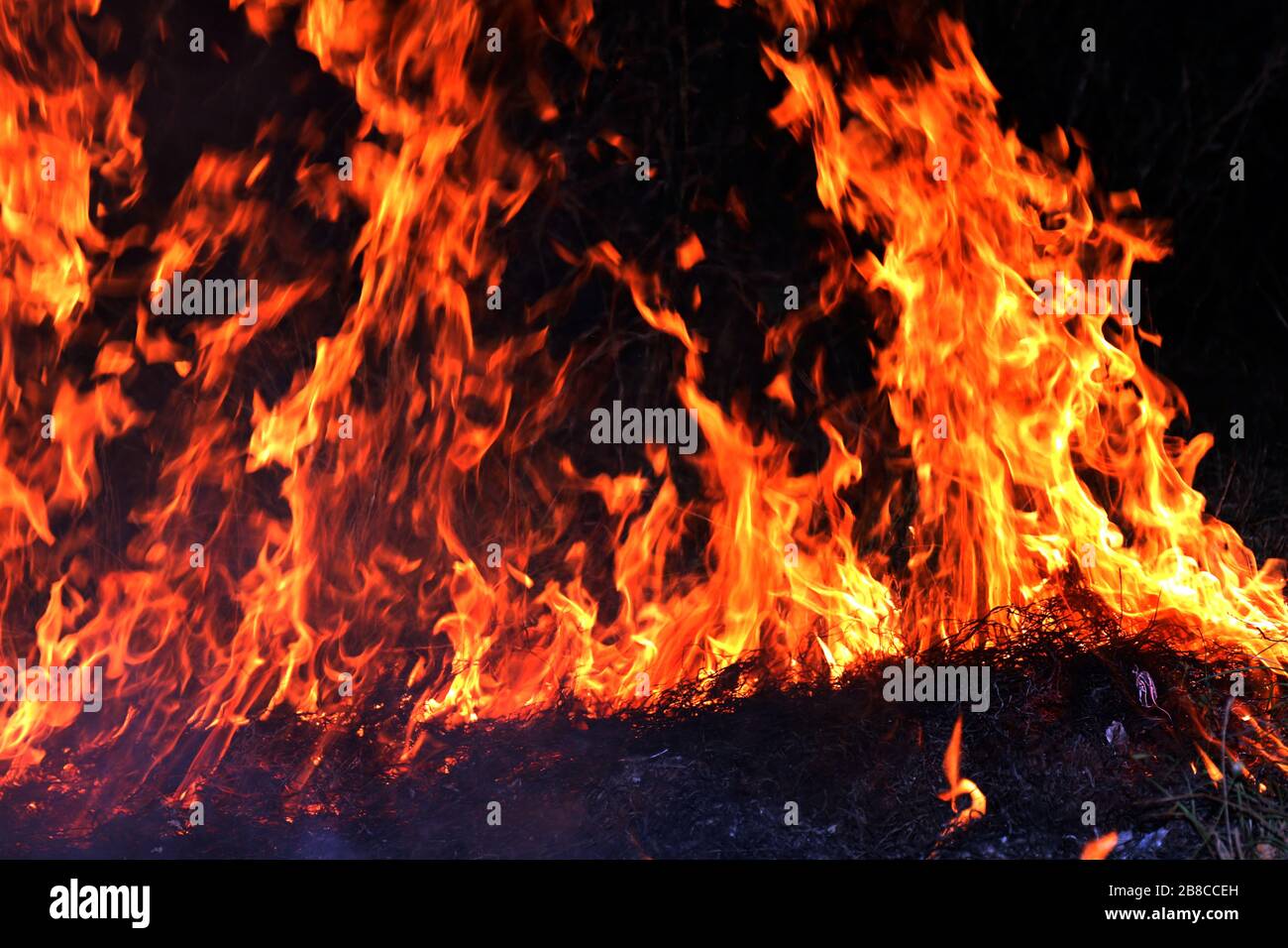 Fire, Forest fire at night, Fire burning hay (Selective focus Stock ...