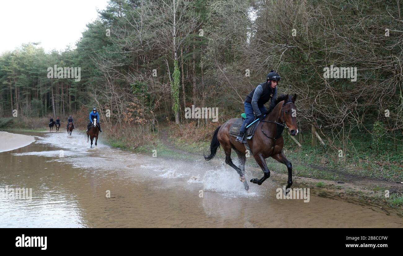 Horses from Christian Williams' yard exercise near Ogmore Farm in ...